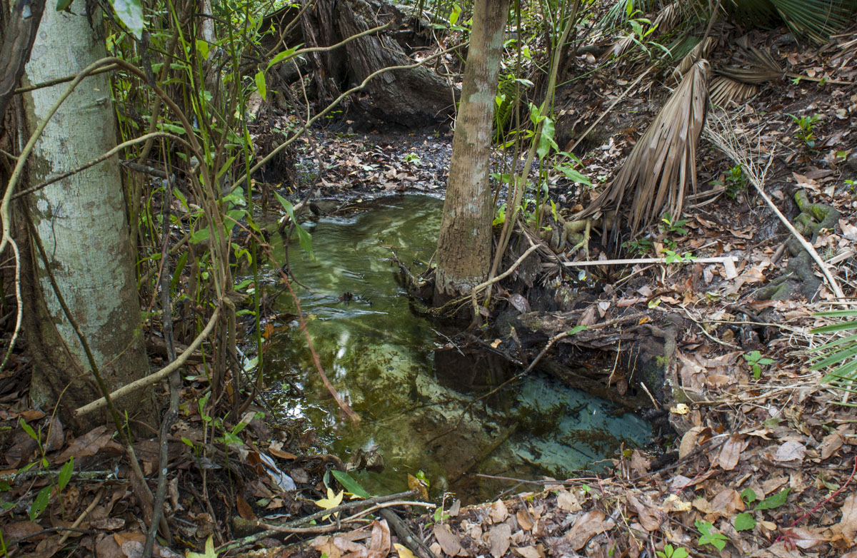 Holiday Springs – SJRWMD