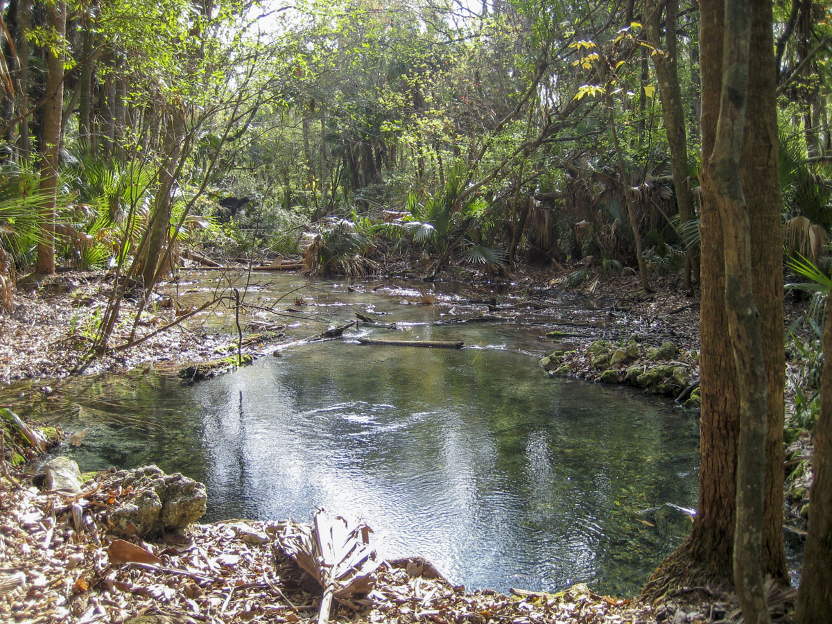 Helene Spring – SJRWMD